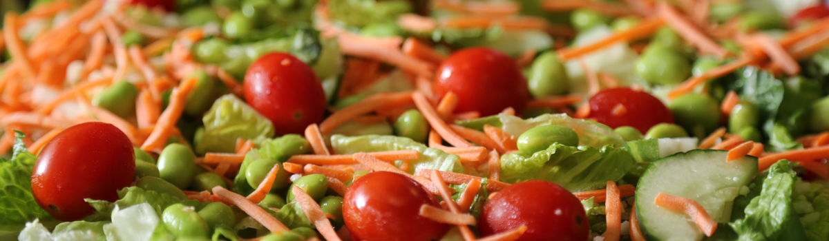 All Catering Menu Categories - Fresh City Kitchen | ordering ...